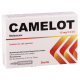 Camelot 15mg/1.5ml #3a GMP - Aversi