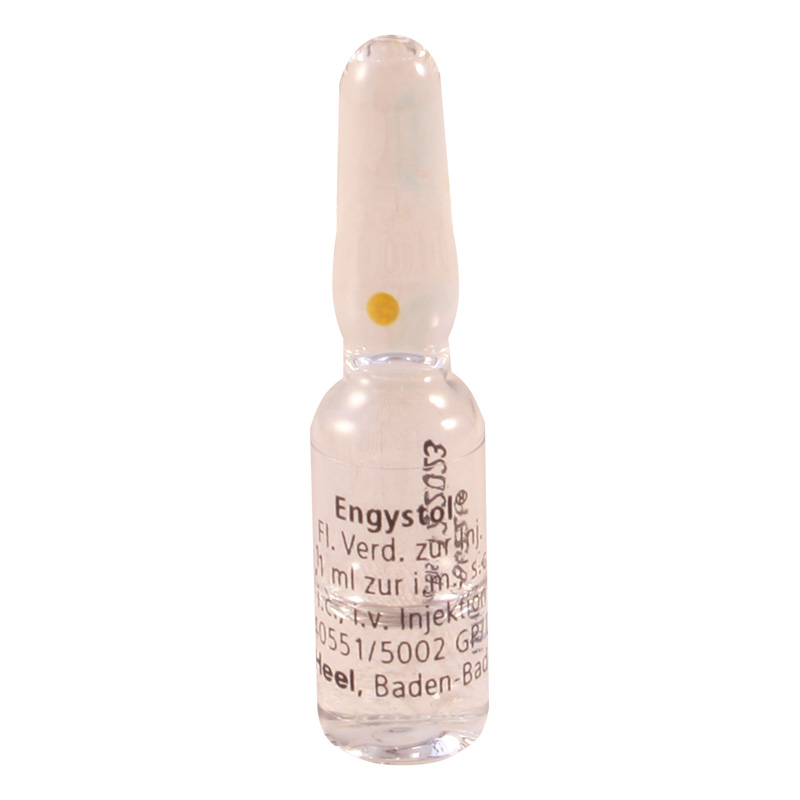 Heel-Engystol N 1.1ml #5a - Aversi